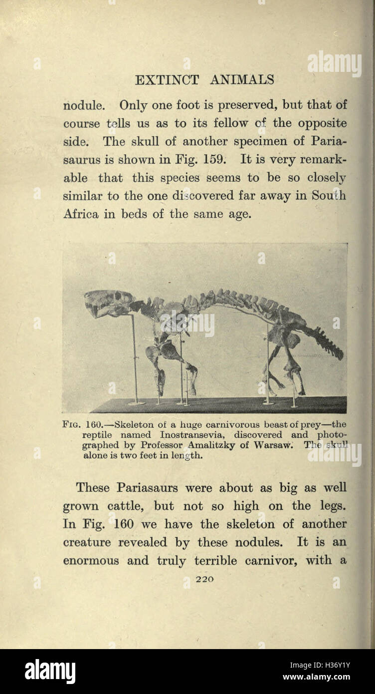 This study focuses on the extinct species of animals, analyzing their ...
