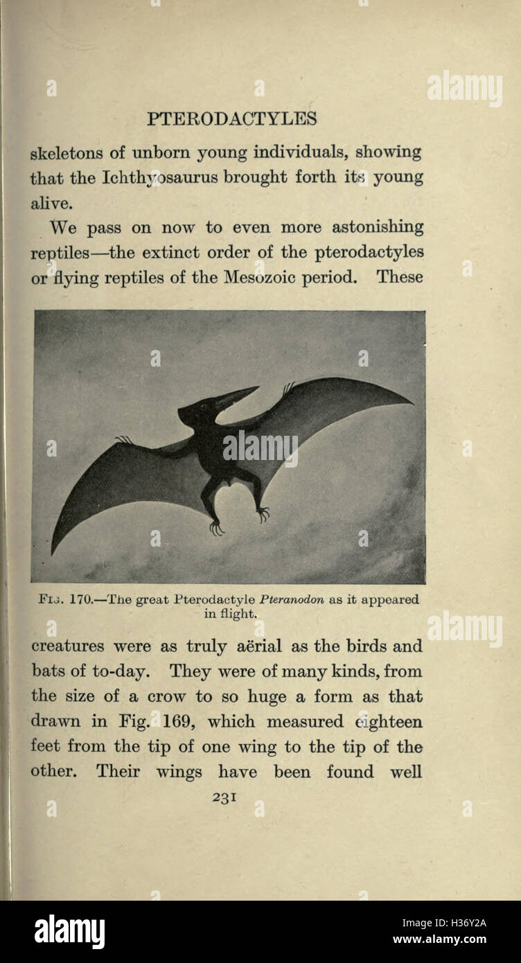 This work examines extinct animal species, focusing on their ...