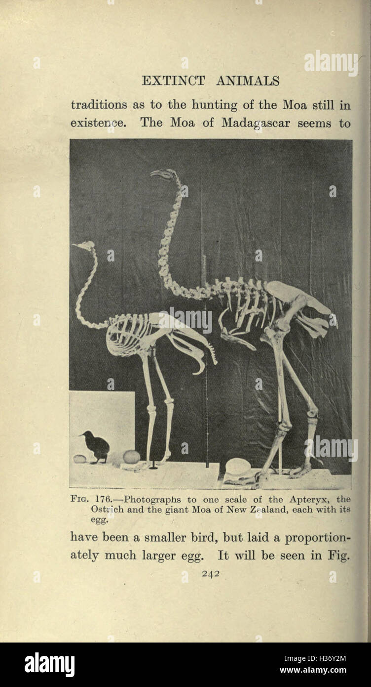 This work discusses the various extinct species of animals, providing ...