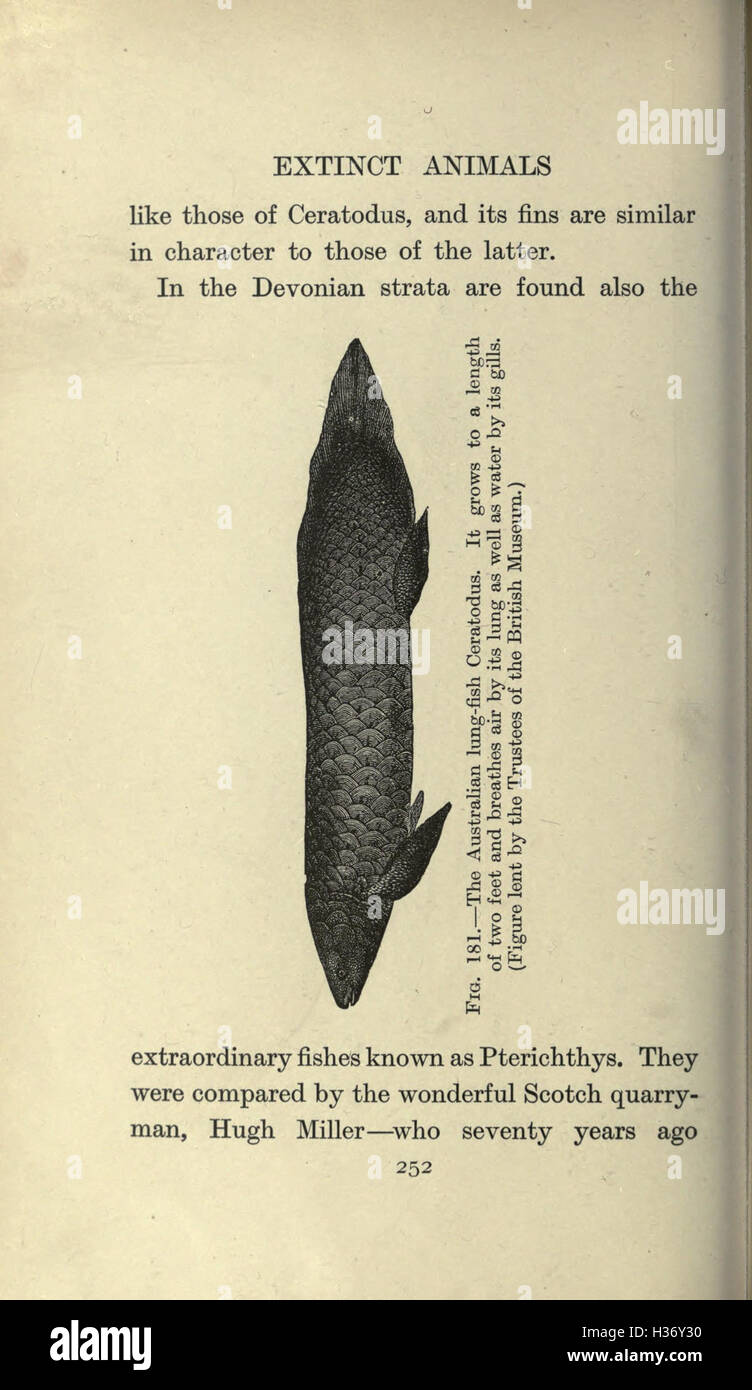 This work studies animals that have gone extinct, documenting their ...