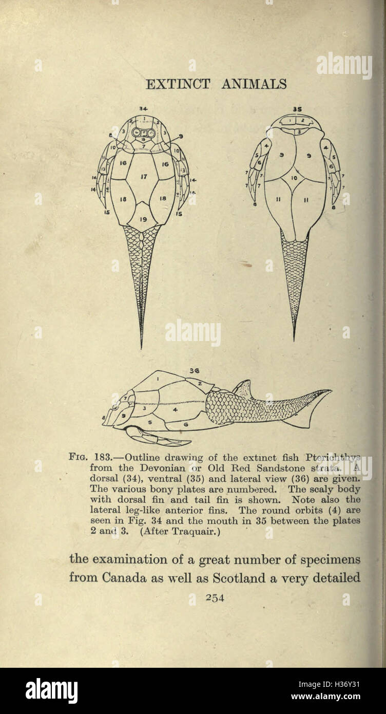 This work examines extinct animal species, detailing their ...