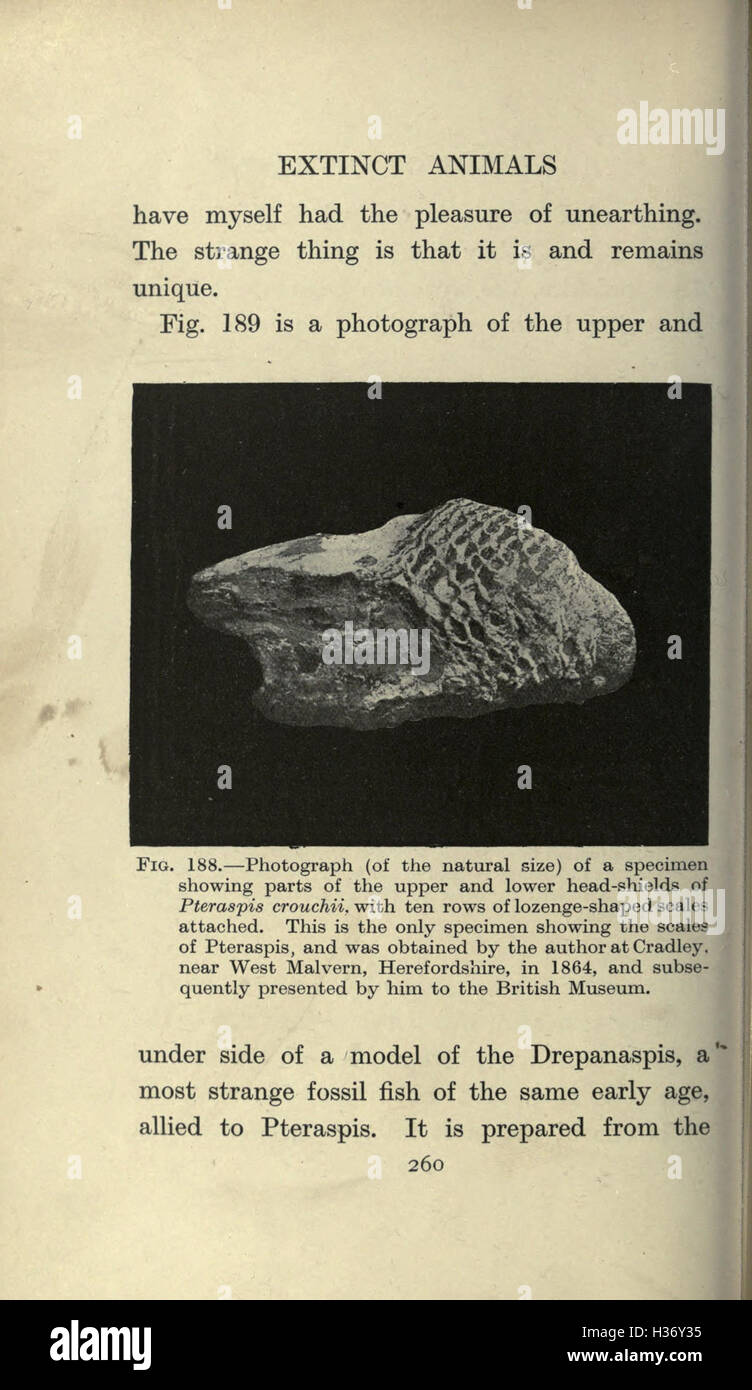 This work examines extinct animal species, exploring their biology ...