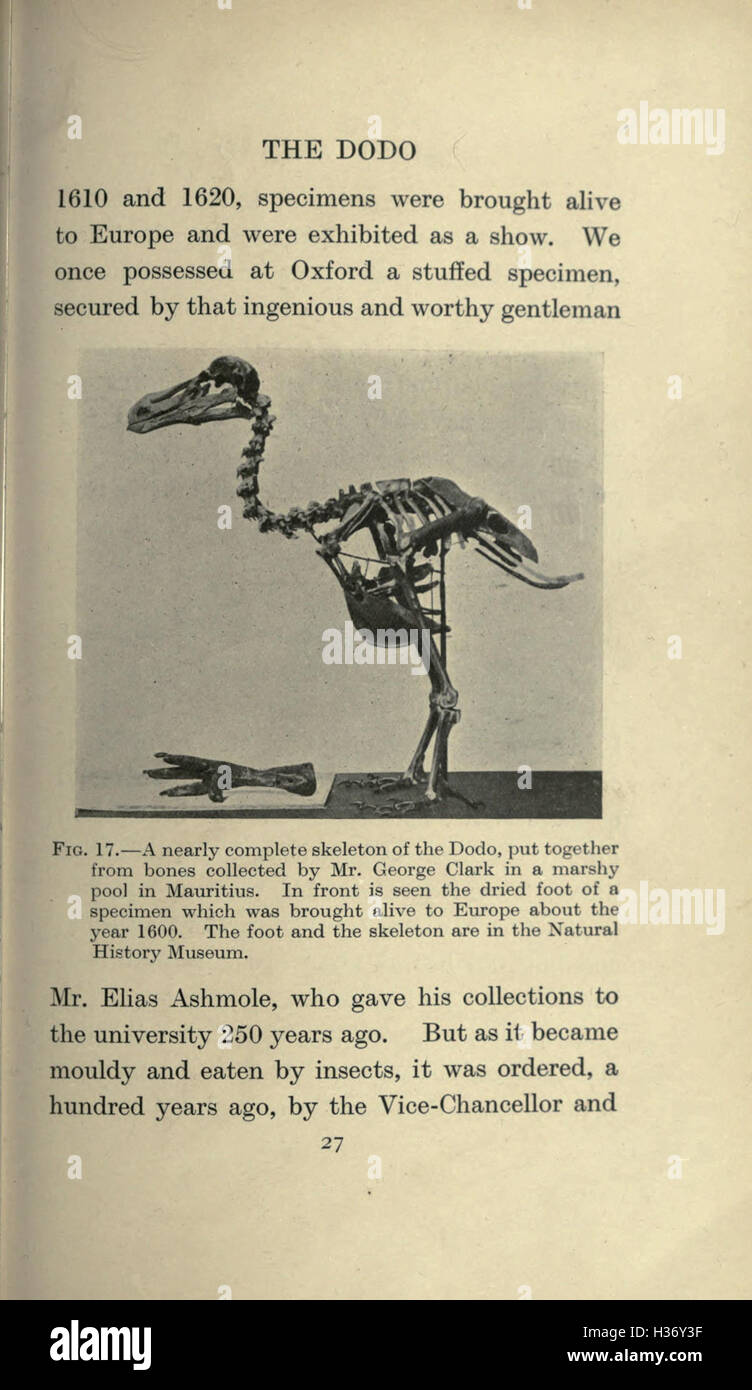 A study of extinct animal species, with a focus on key fossilized ...