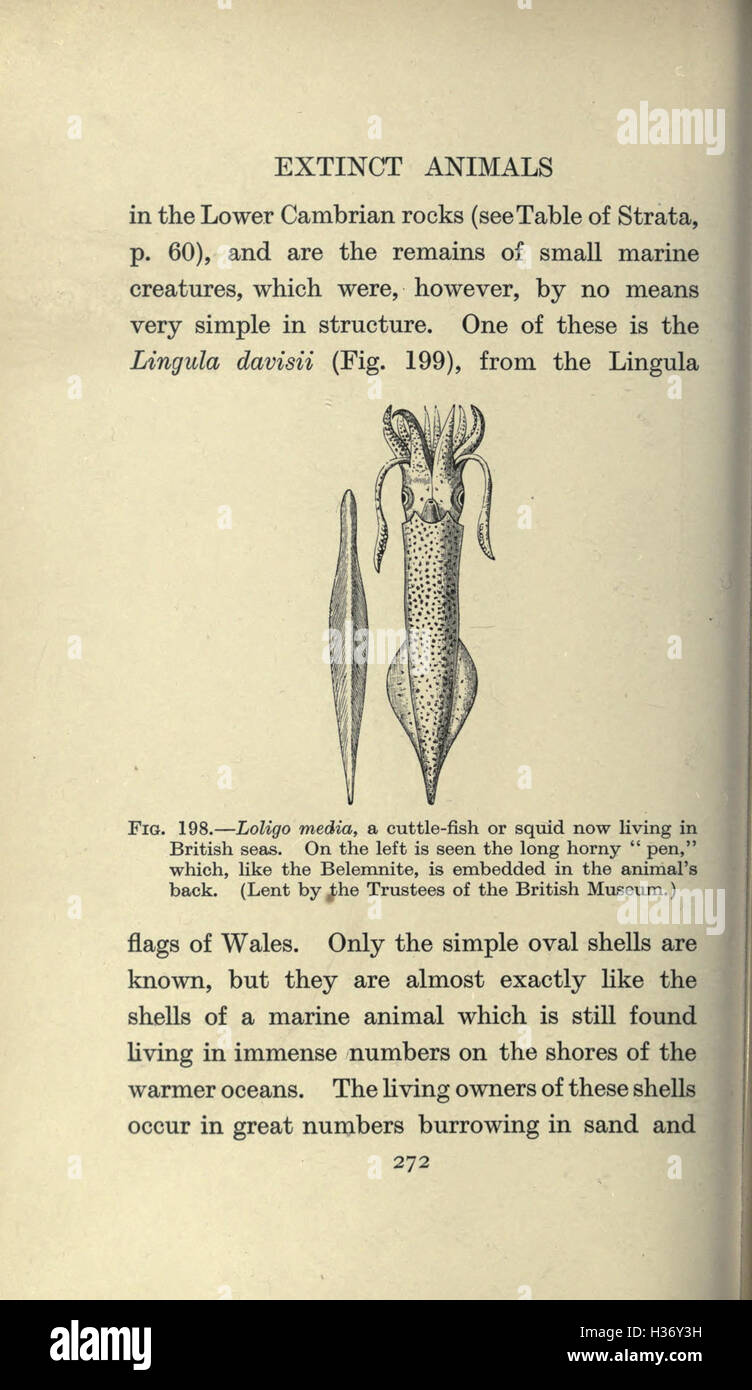 This work covers various extinct animal species, discussing their ...