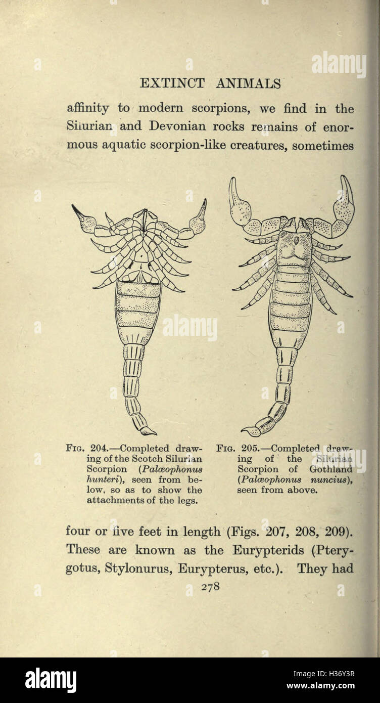 This page continues the examination of extinct animal species, with a ...