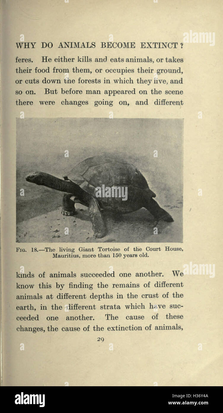 This work presents a detailed study of extinct animals, exploring their ...