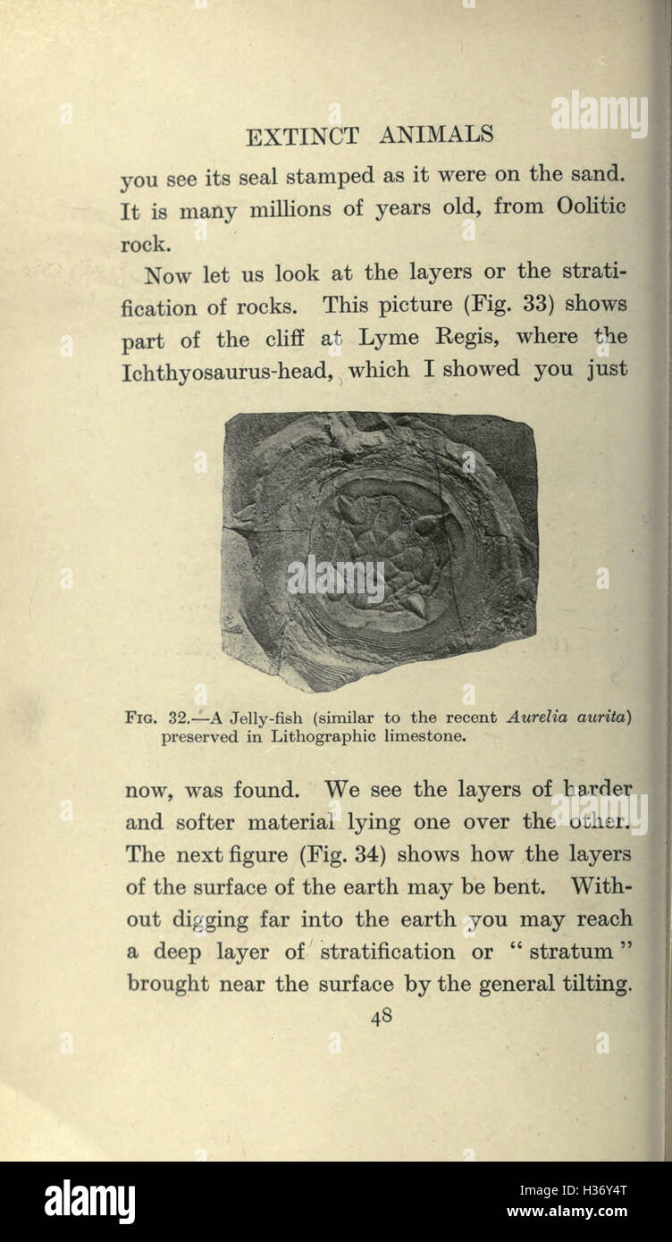 This work provides an overview of extinct animal species, examining ...