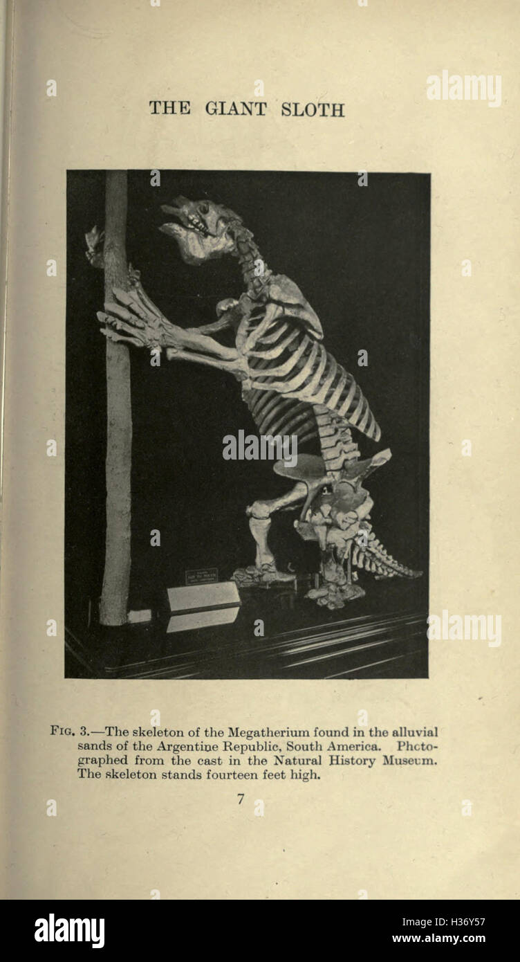This book provides a comprehensive overview of extinct animals ...