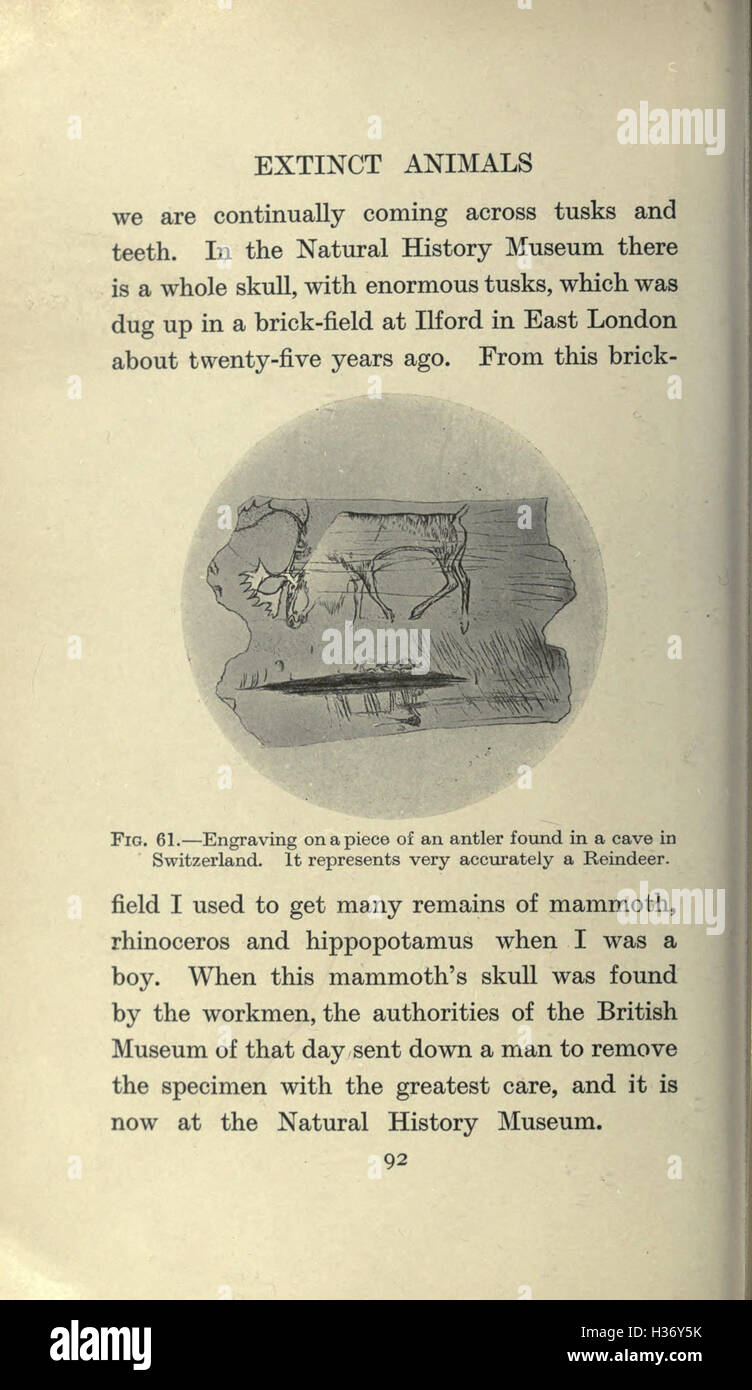 This text provides detailed descriptions of extinct animal species ...