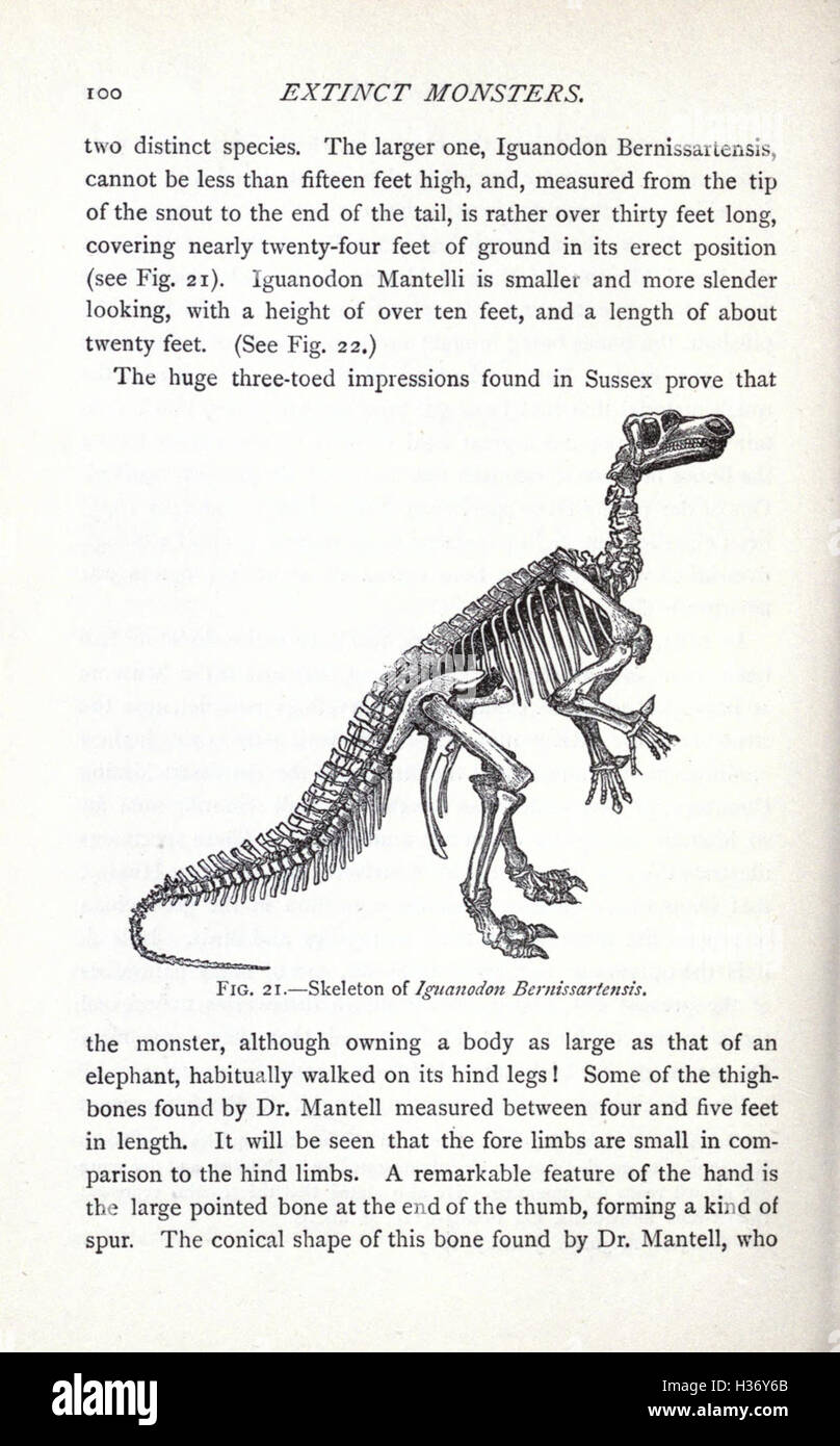 A study on extinct prehistoric creatures, offering a detailed account ...