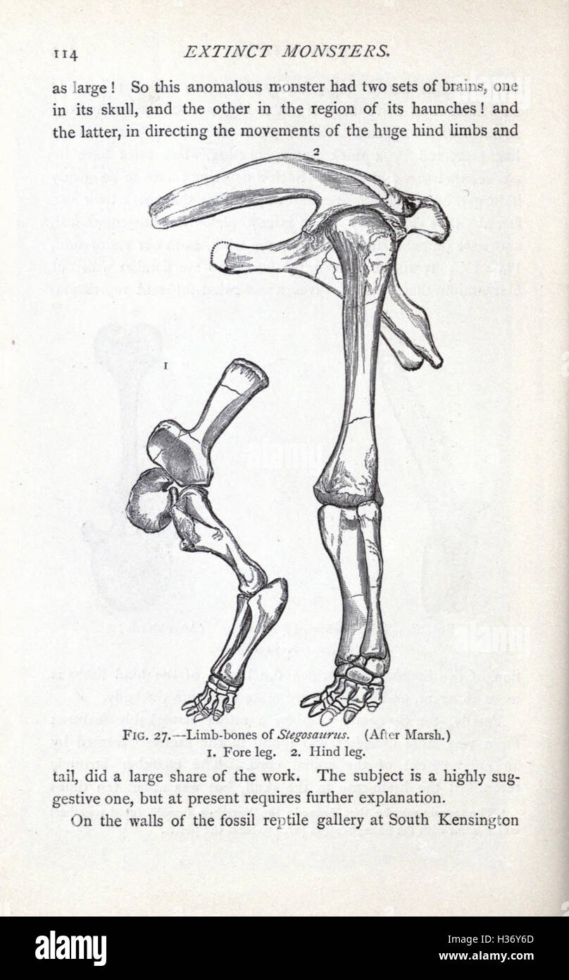 This work discusses various extinct creatures, focusing on the ...