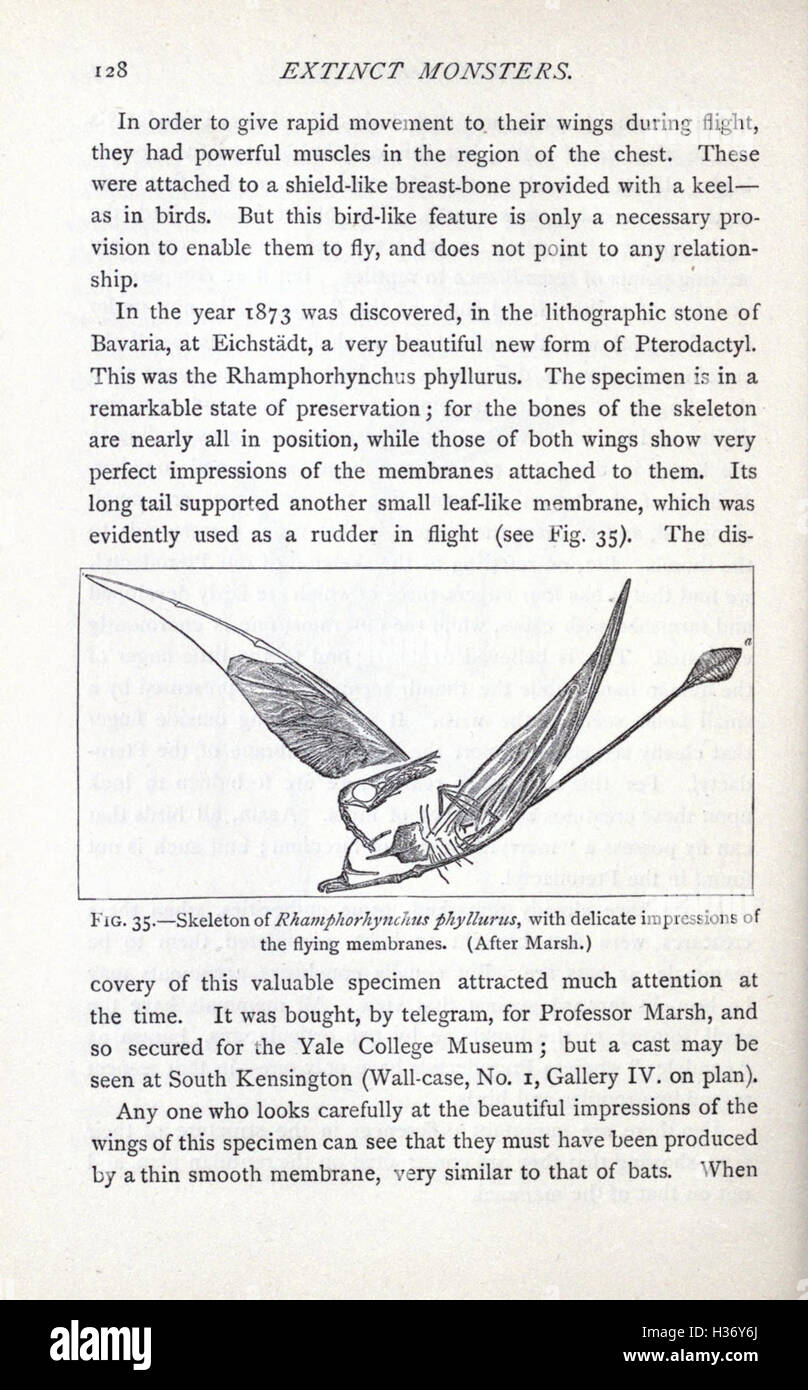 Extinct monsters map hi-res stock photography and images - Alamy