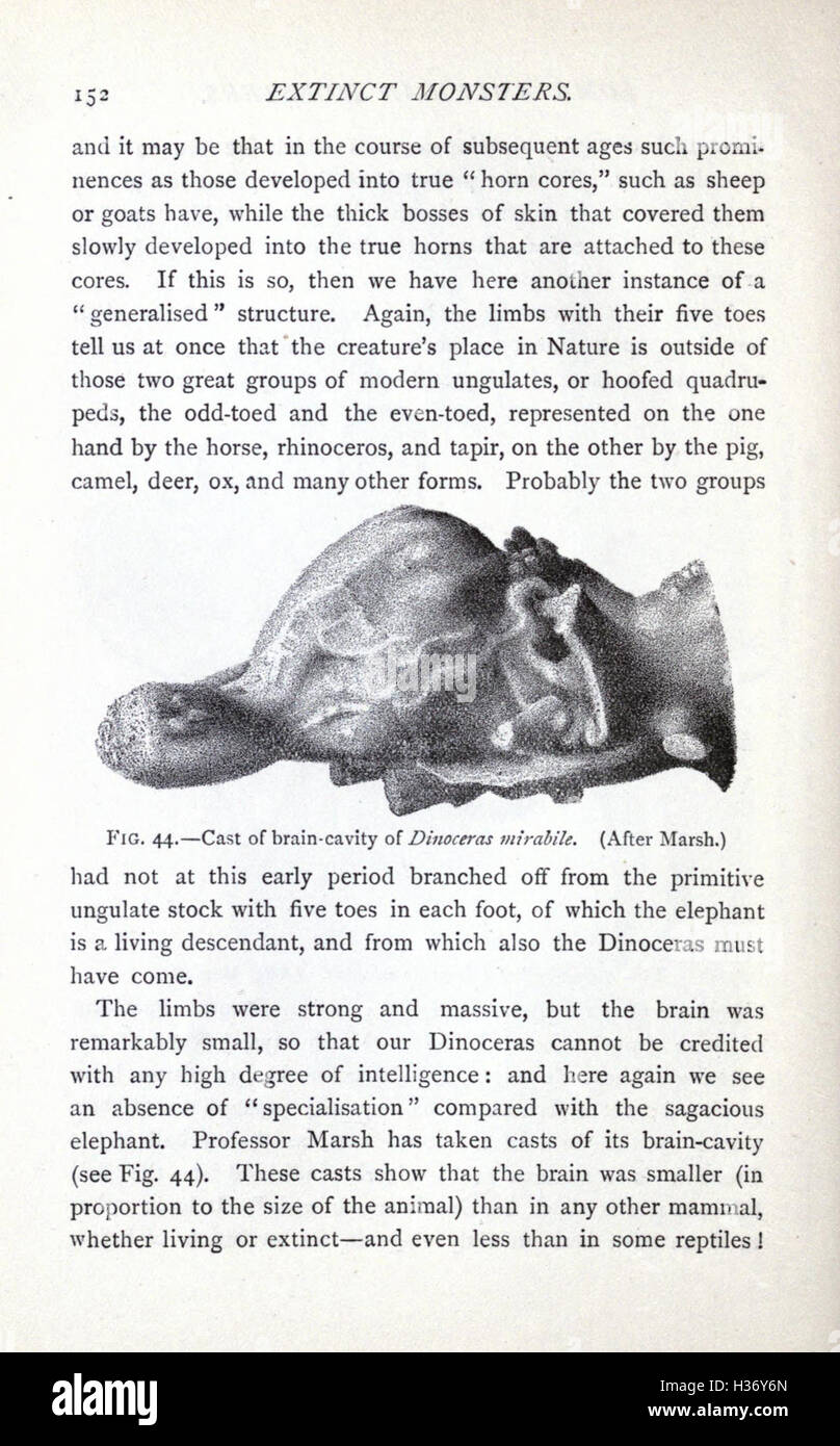 Extinct monsters map hi-res stock photography and images - Alamy