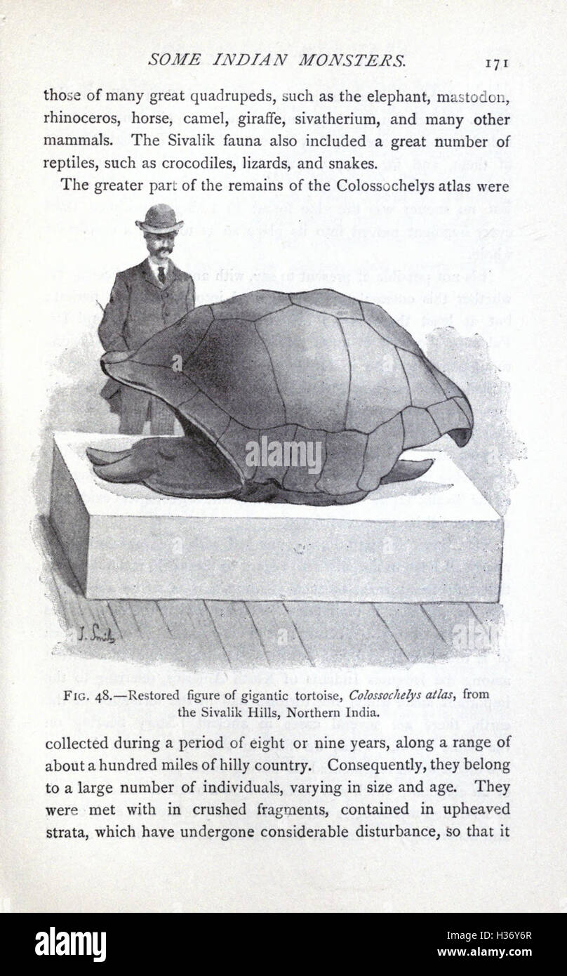 This page explores the concept of extinct monsters, focusing on ...