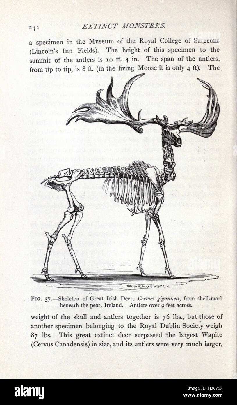 This work examines extinct prehistoric creatures, discussing their ...