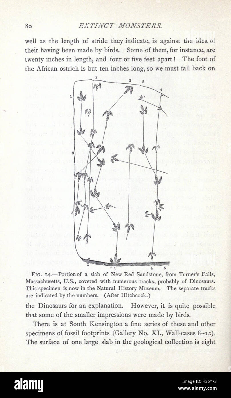 This work delves into the study of extinct creatures, focusing on ...