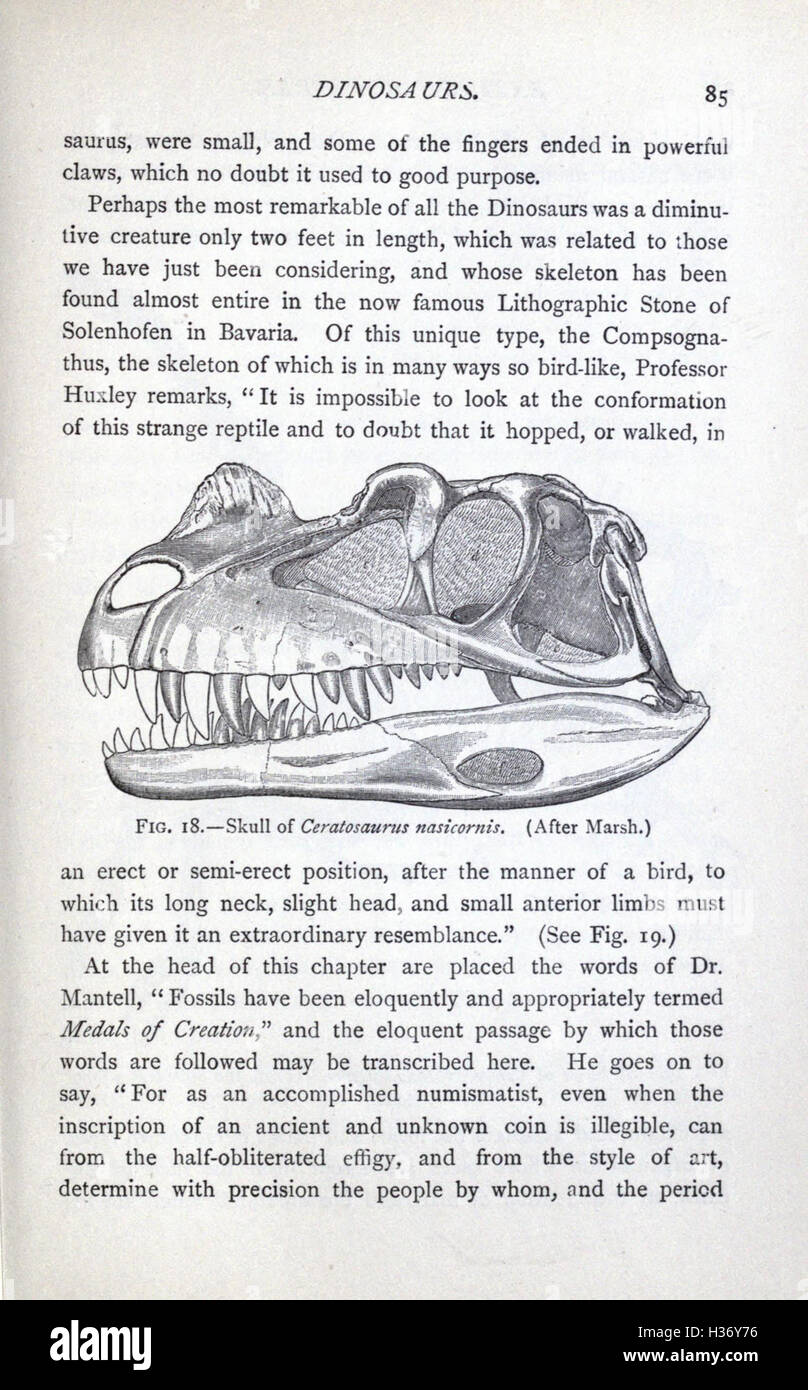 This work explores extinct prehistoric creatures, focusing on their ...