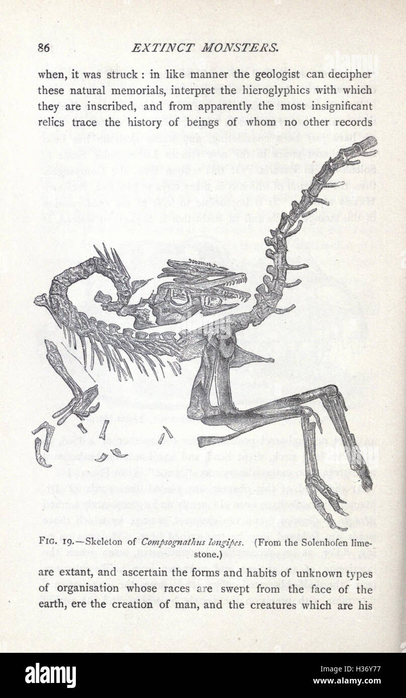 Extinct monsters map hi-res stock photography and images - Alamy