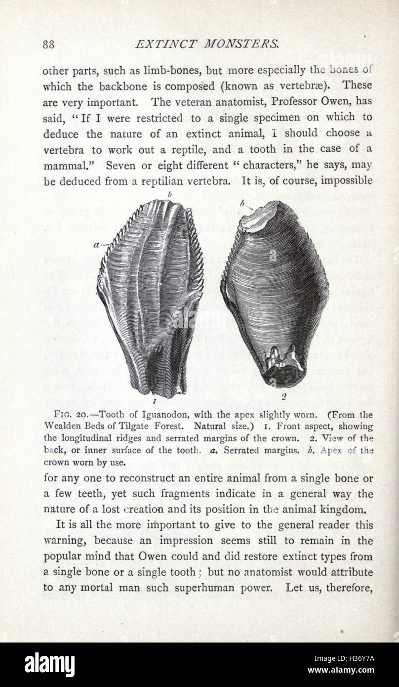 Extinct monsters map hi-res stock photography and images - Alamy