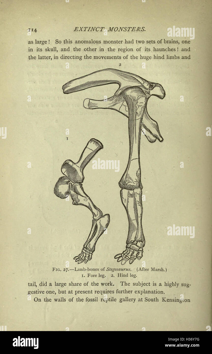 This book discusses various extinct creatures, focusing on prehistoric ...