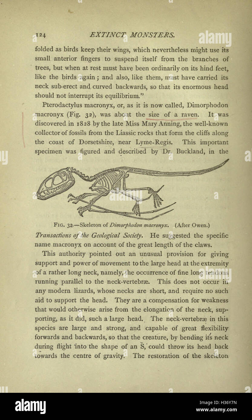 This page explores extinct prehistoric creatures, including ancient ...