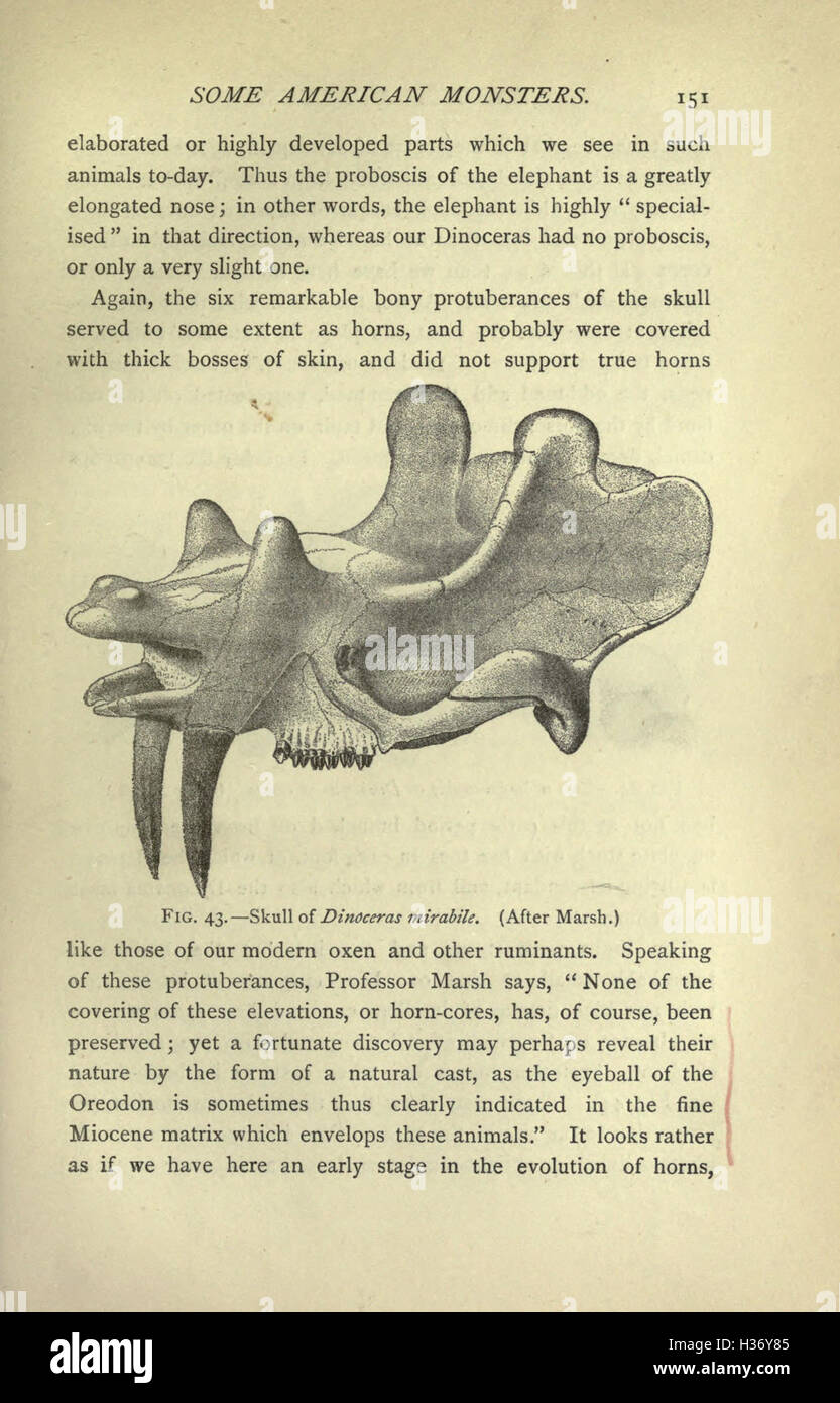 This title covers extinct species often referred to as 'monsters' in ...