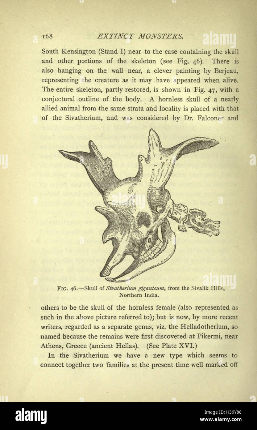 Extinct monsters map hi-res stock photography and images - Alamy