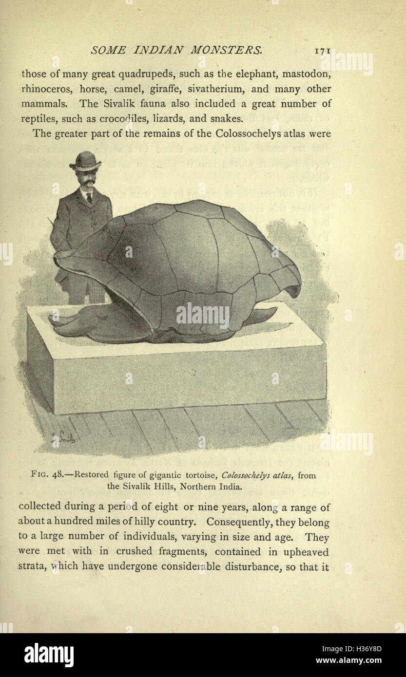 This page explores extinct species referred to as 'monsters ...