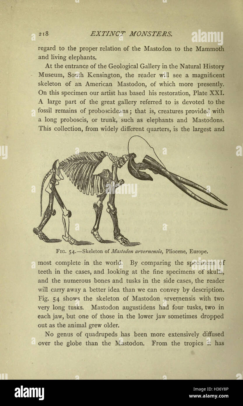 This work explores various extinct species often described as 'monsters ...