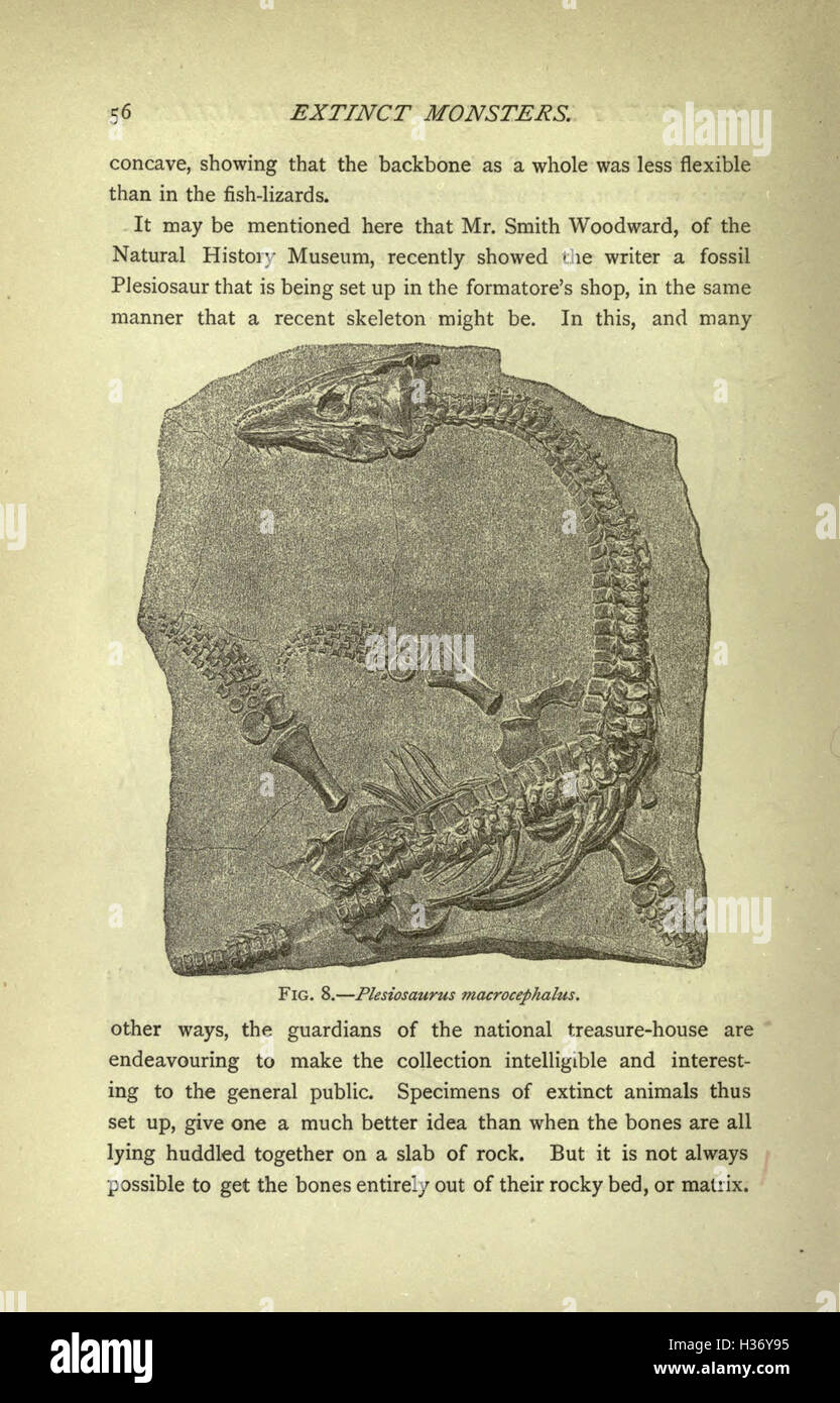 This work explores the concept of extinct large prehistoric animals ...