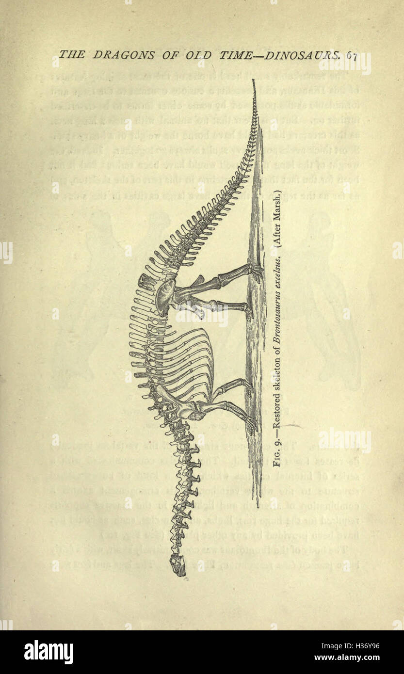 This page examines extinct creatures from prehistoric times, detailing ...