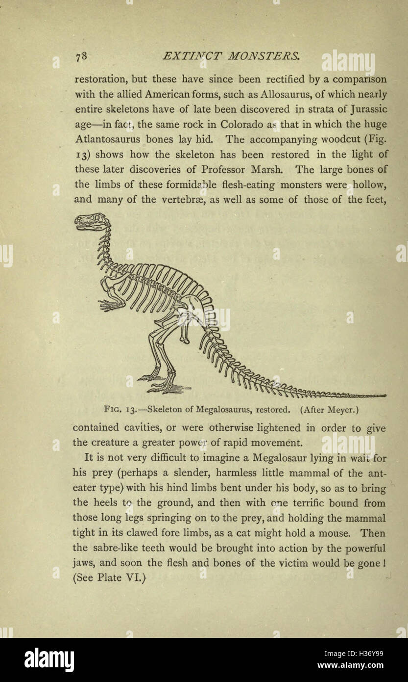 Extinct monsters map hi-res stock photography and images - Alamy