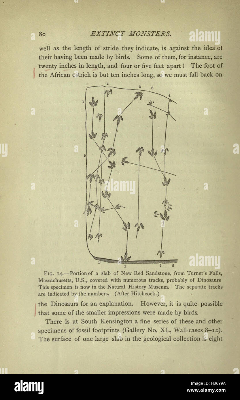 This text explores the history of extinct giant creatures, focusing on ...