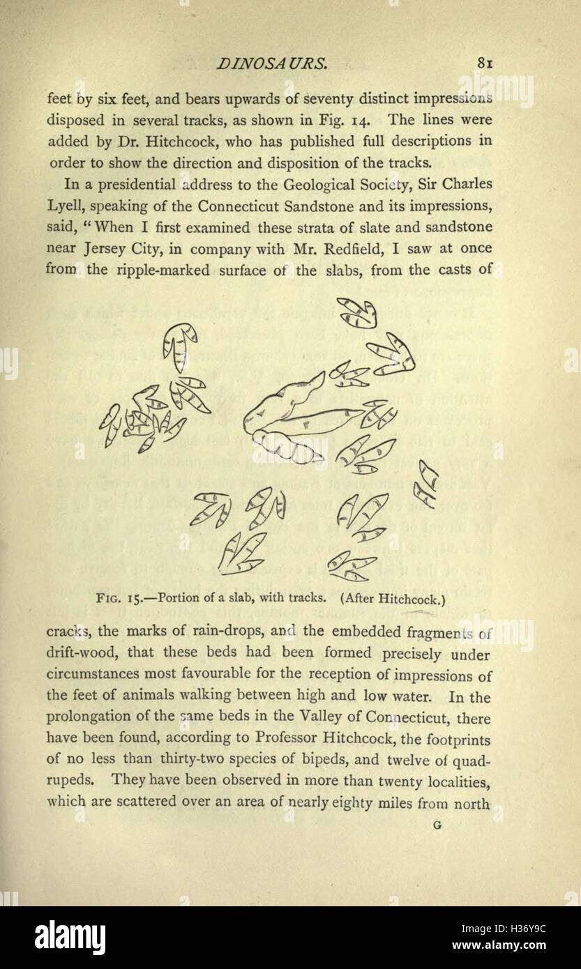 This work explores extinct prehistoric creatures, commonly referred to ...