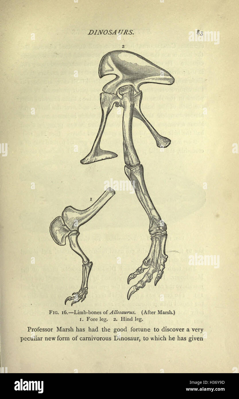 This text explores the history and science behind extinct creatures ...