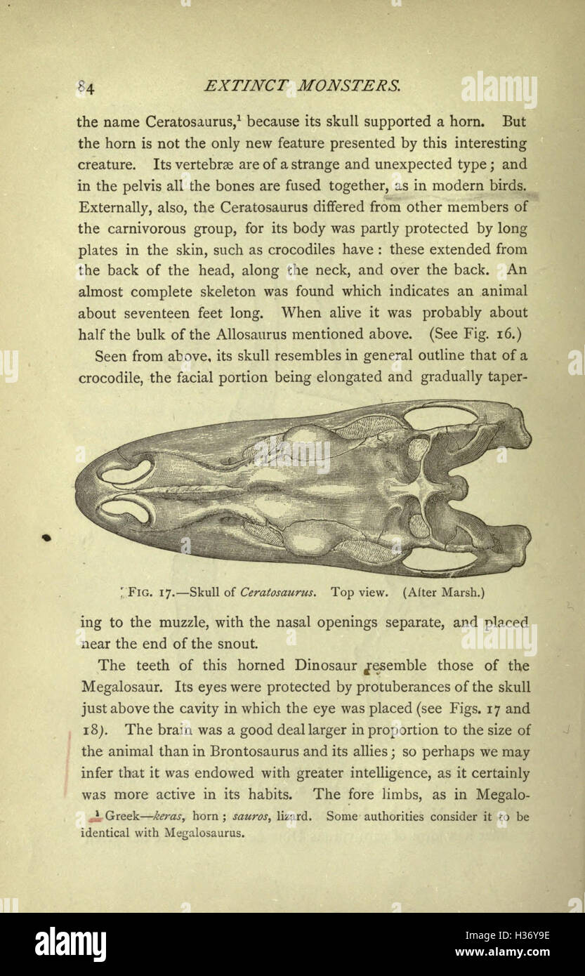 Extinct monsters map hi-res stock photography and images - Alamy