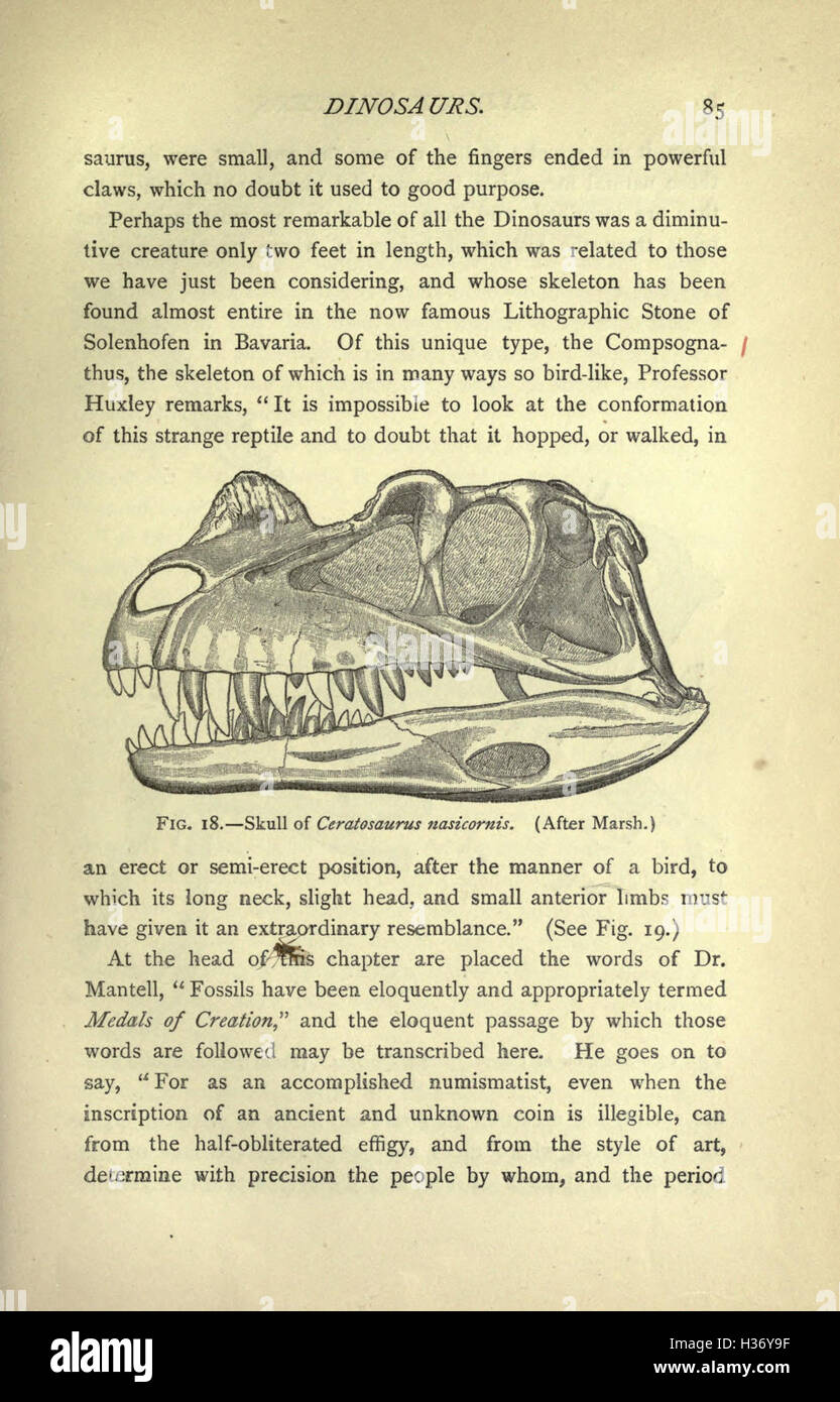 Extinct monsters map hi-res stock photography and images - Alamy