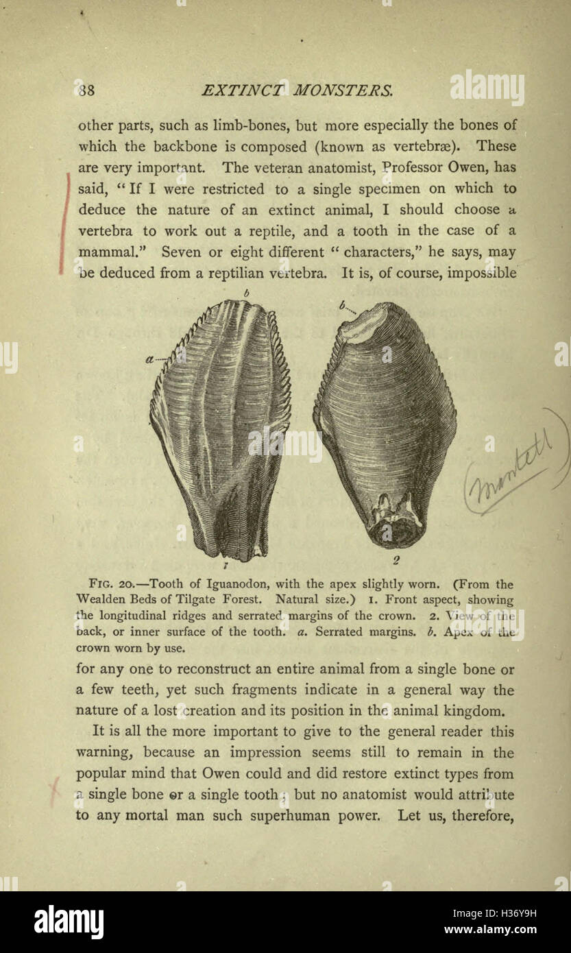 Extinct monsters map hi-res stock photography and images - Alamy