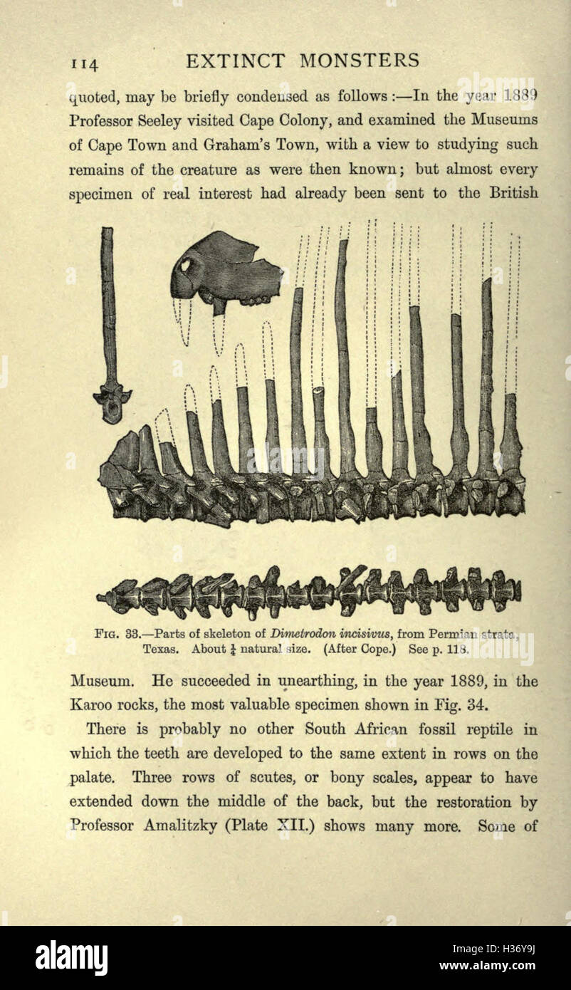 This work explores various extinct creatures from prehistoric times ...