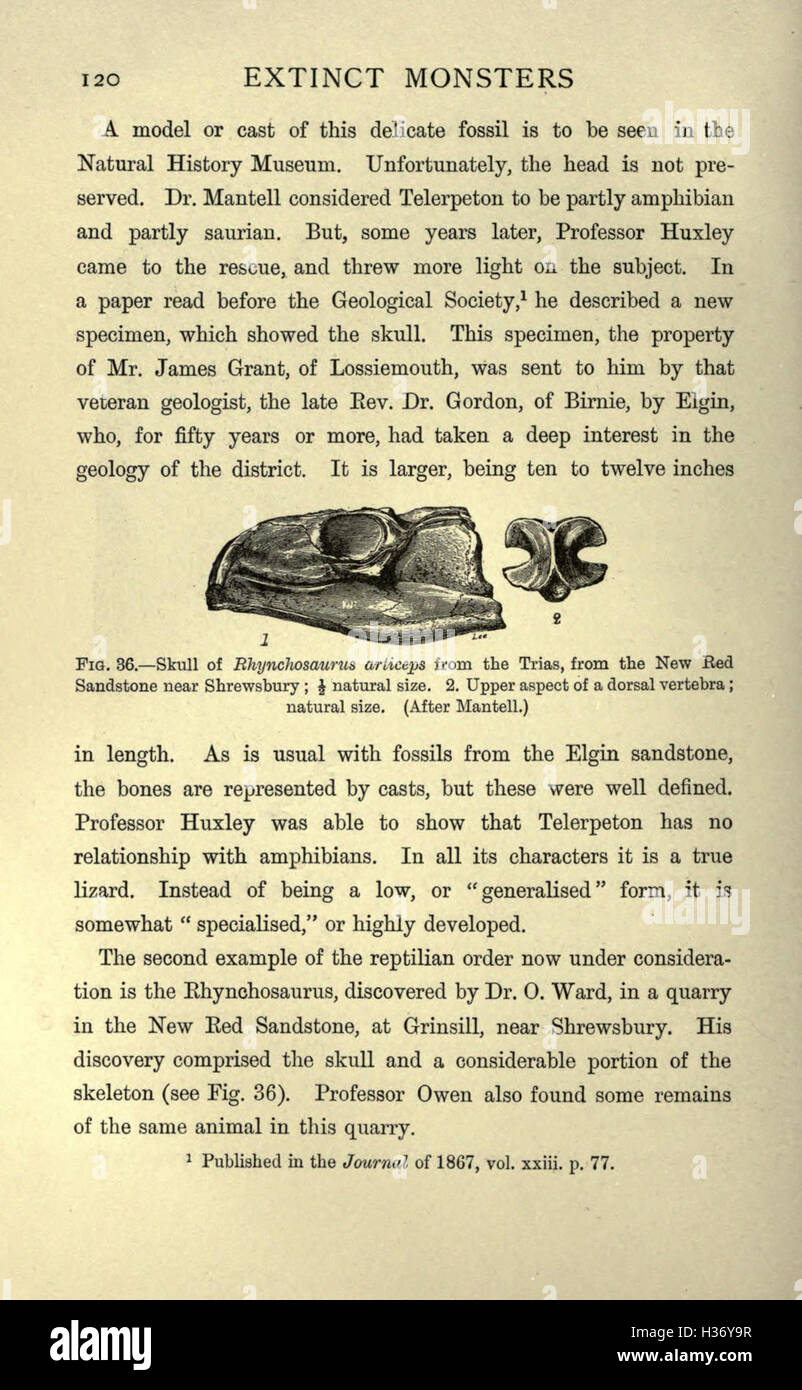 Page 120 of 'Extinct Monsters and Creatures of Other Days' delves into ...