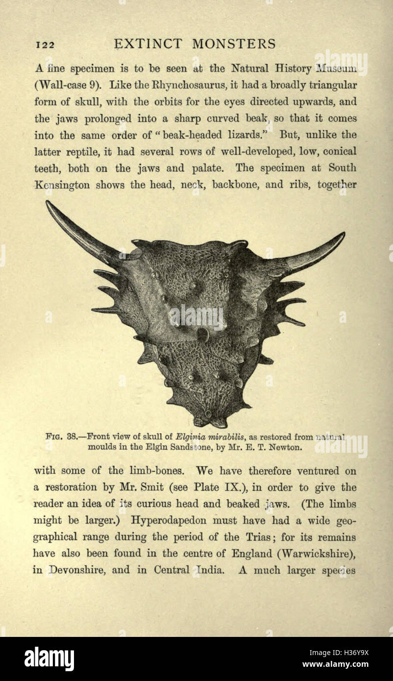 This text discusses prehistoric creatures and extinct species ...