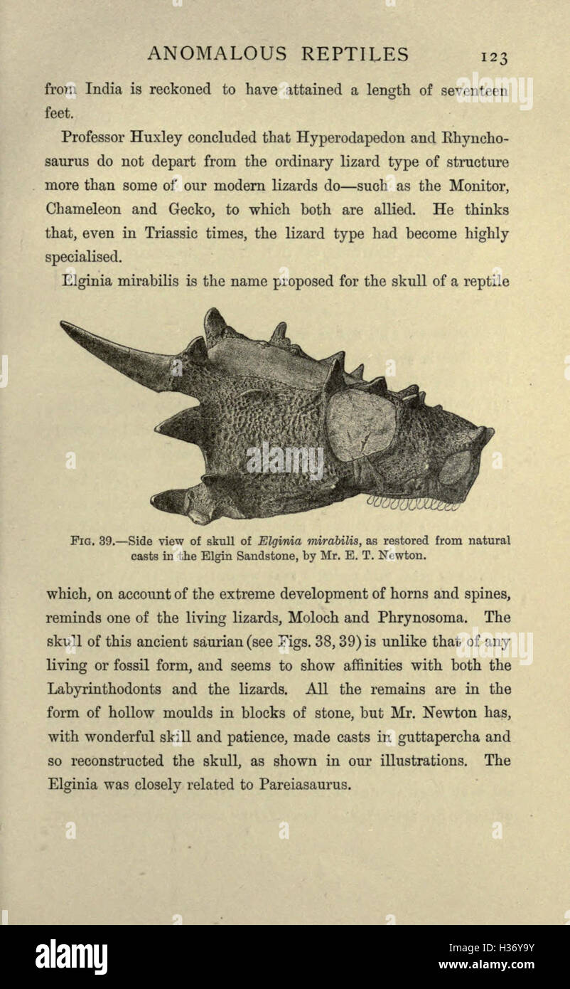 This page explores extinct prehistoric creatures, focusing on their ...