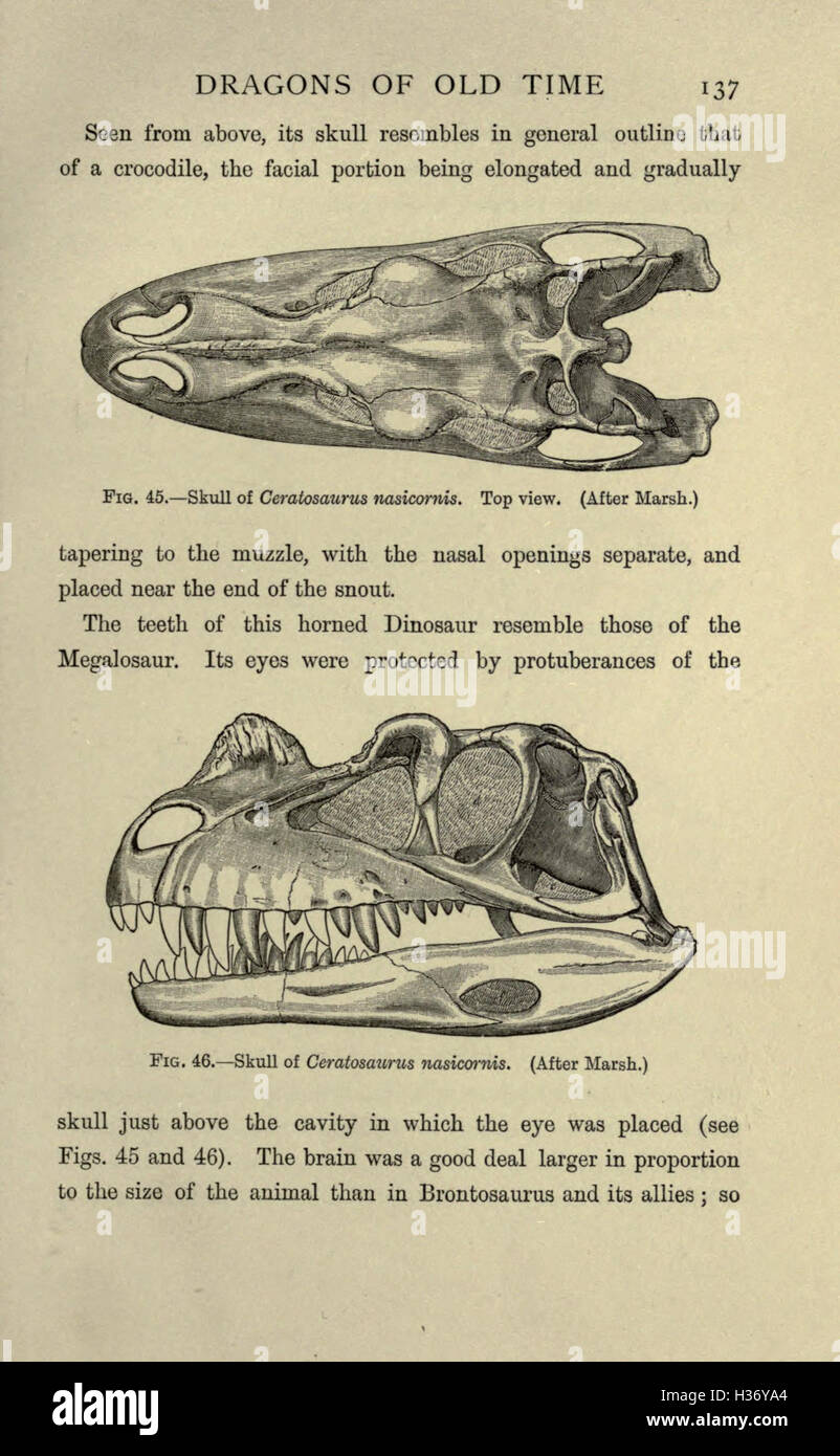 This page provides an overview of extinct creatures from prehistoric ...