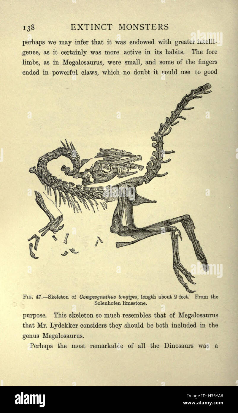 This work explores prehistoric creatures, focusing on extinct species ...