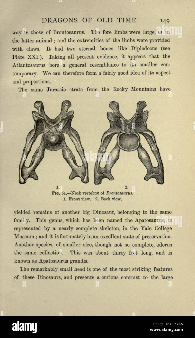 A detailed examination of extinct prehistoric creatures, including ...