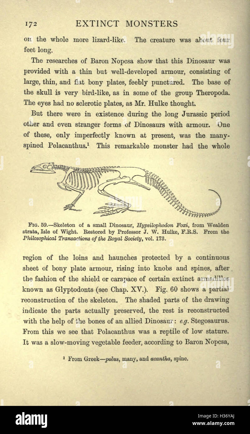 An exploration of prehistoric creatures and extinct monsters, delving ...