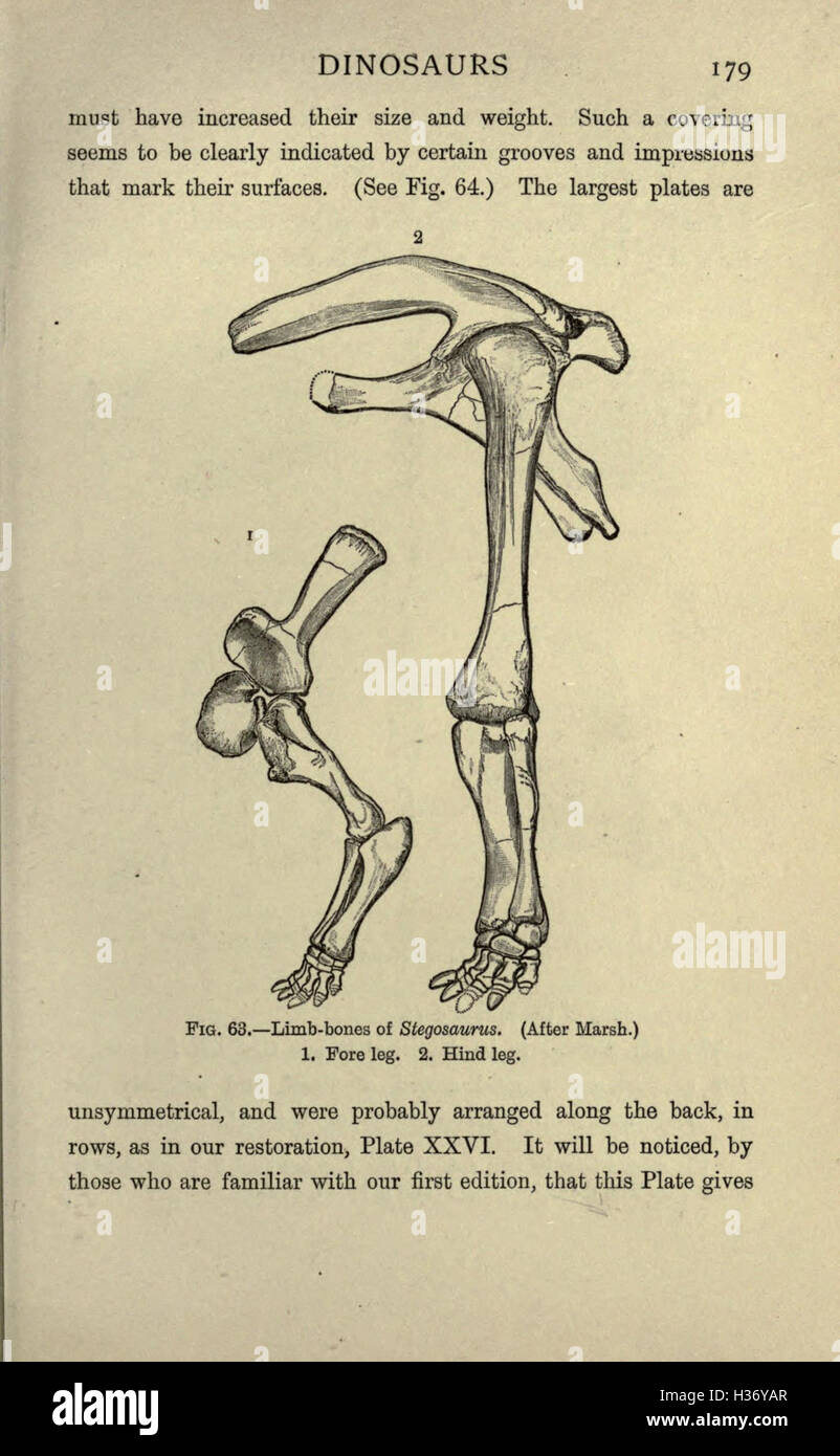 This book explores the prehistoric creatures and extinct species that ...