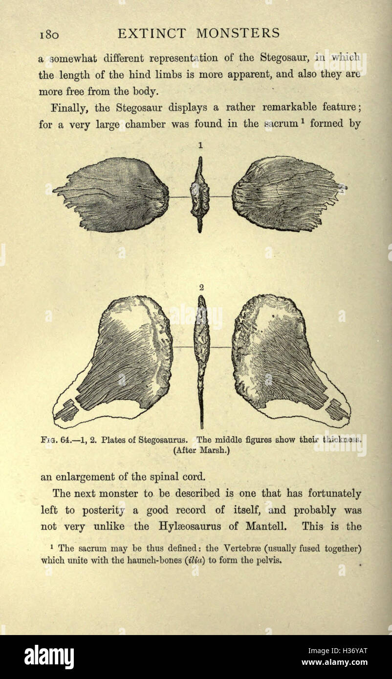 This book explores extinct creatures from prehistoric times, focusing ...