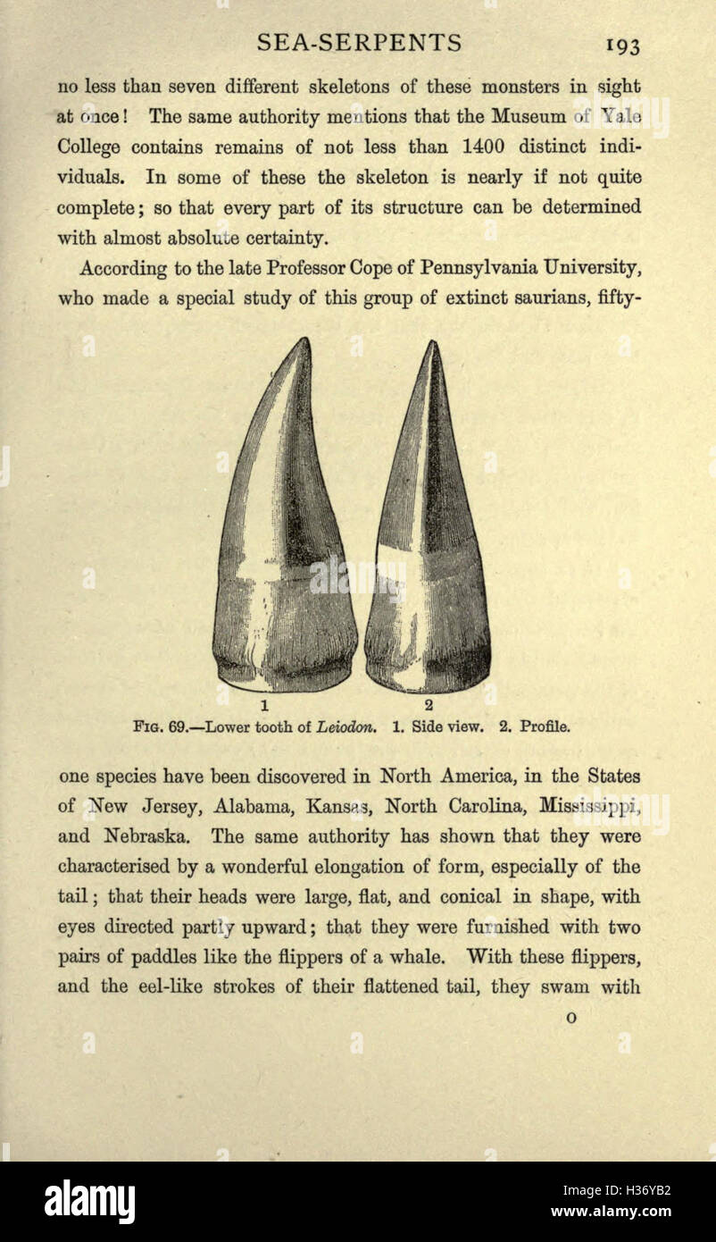 A discussion of extinct creatures, focusing on ancient species and ...