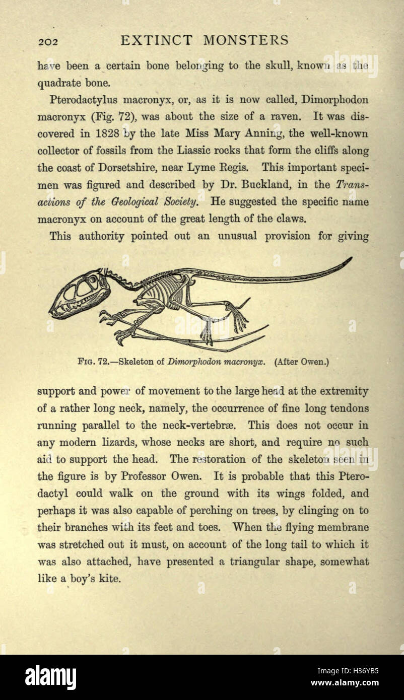 This book explores prehistoric creatures that once roamed the Earth ...